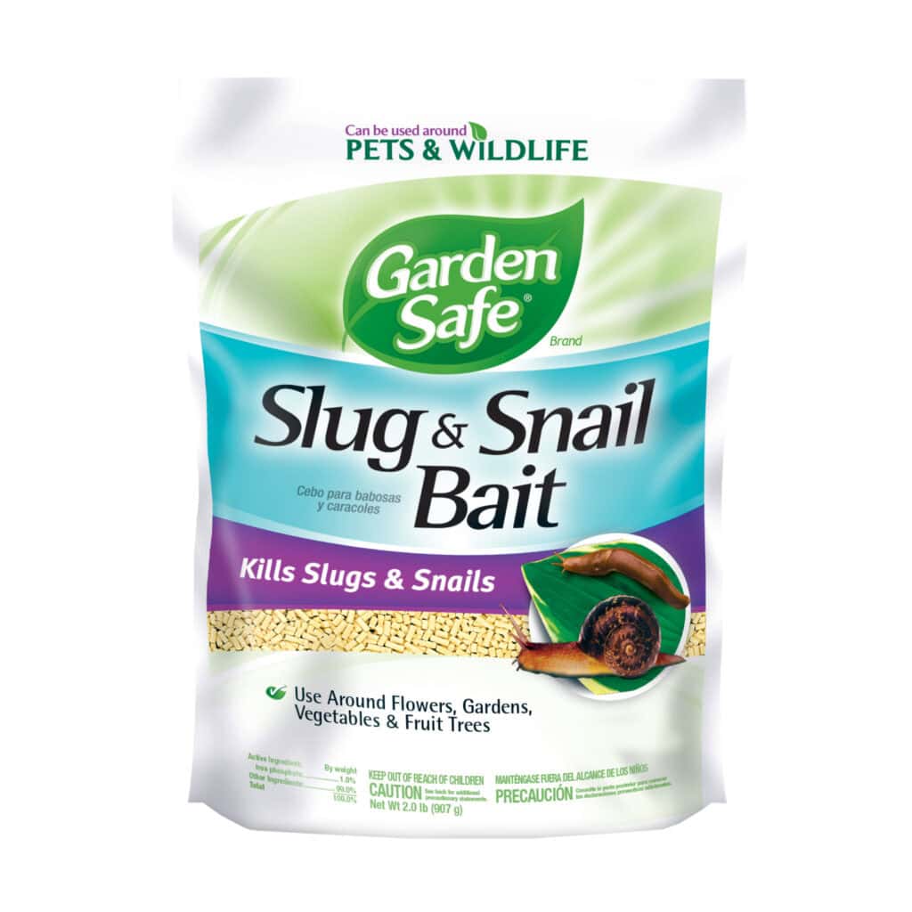 The Ingredient That Will Control Slugs And Snails In The Garden: Secret ...